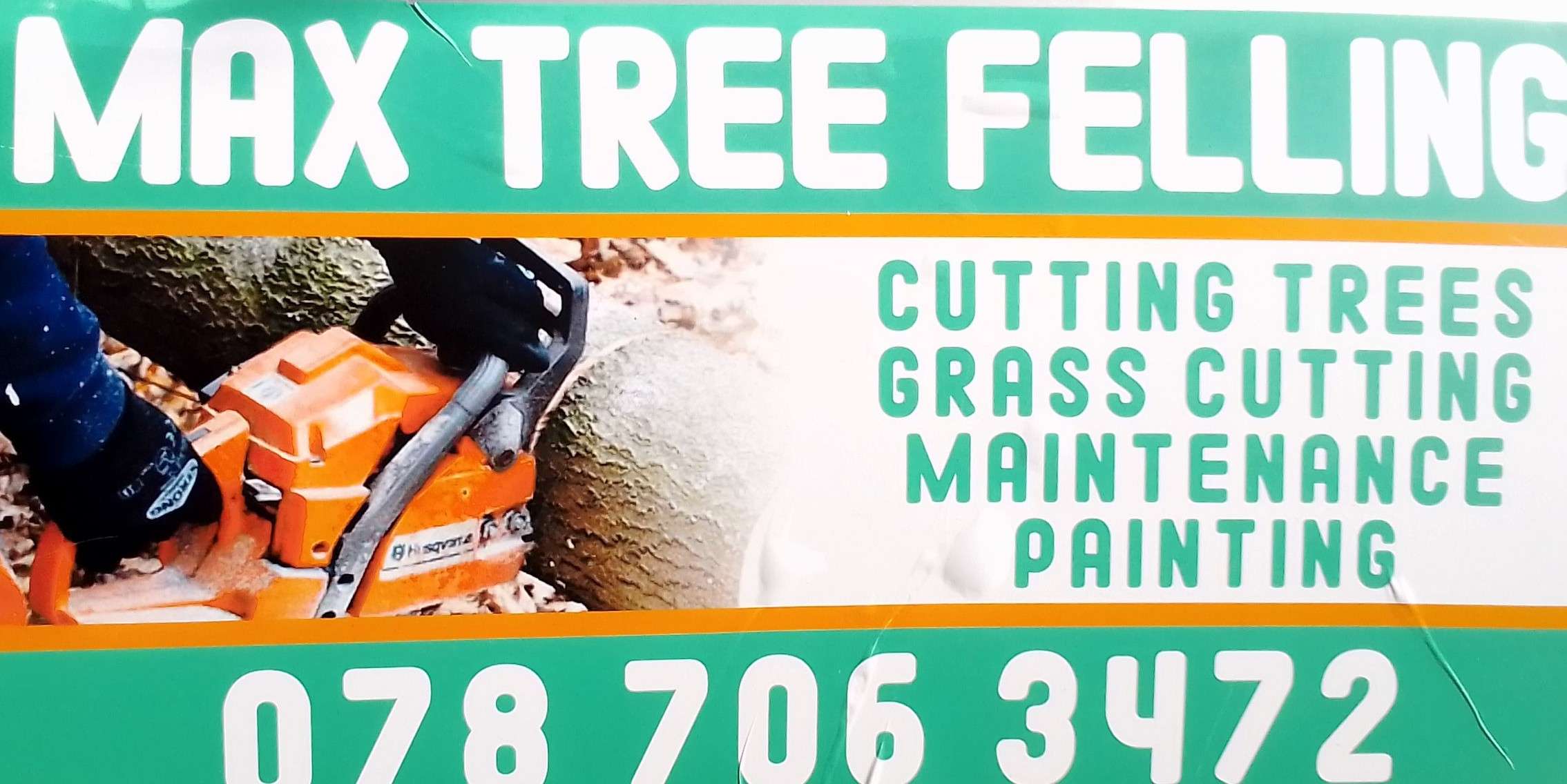 MAX TREE FELLING in Margate